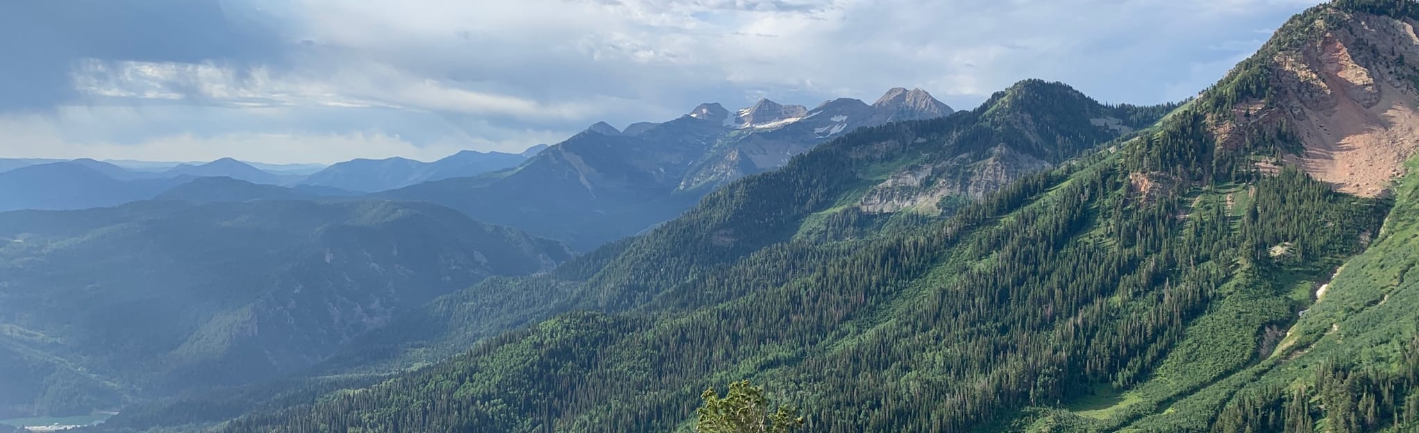 Box Elder Trail and Deer Creek-Dry Creek Trail Loop: 95 Reviews, Map ...