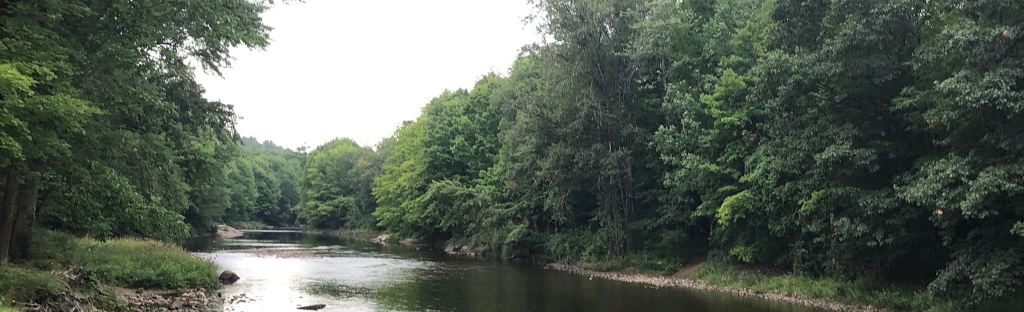 Swift River Trail, Maine - 34 Reviews, Map | AllTrails