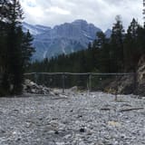 Cougar Creek Trail [CLOSED], Alberta, Canada - 125 Reviews, Map | AllTrails