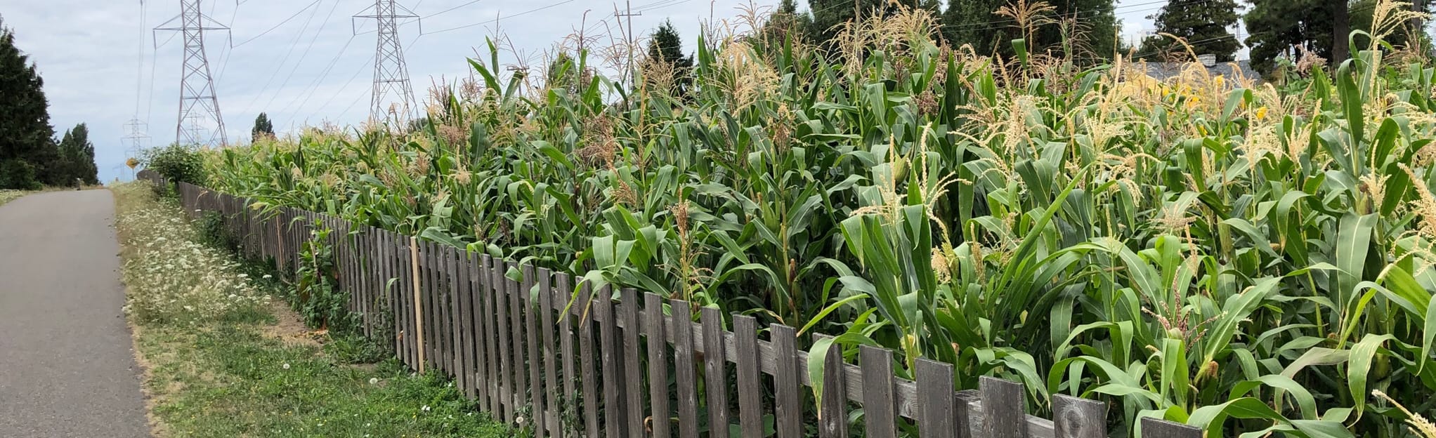 Chief Sealth Trail via Dearborn Park | Map, Guide - Washington | AllTrails