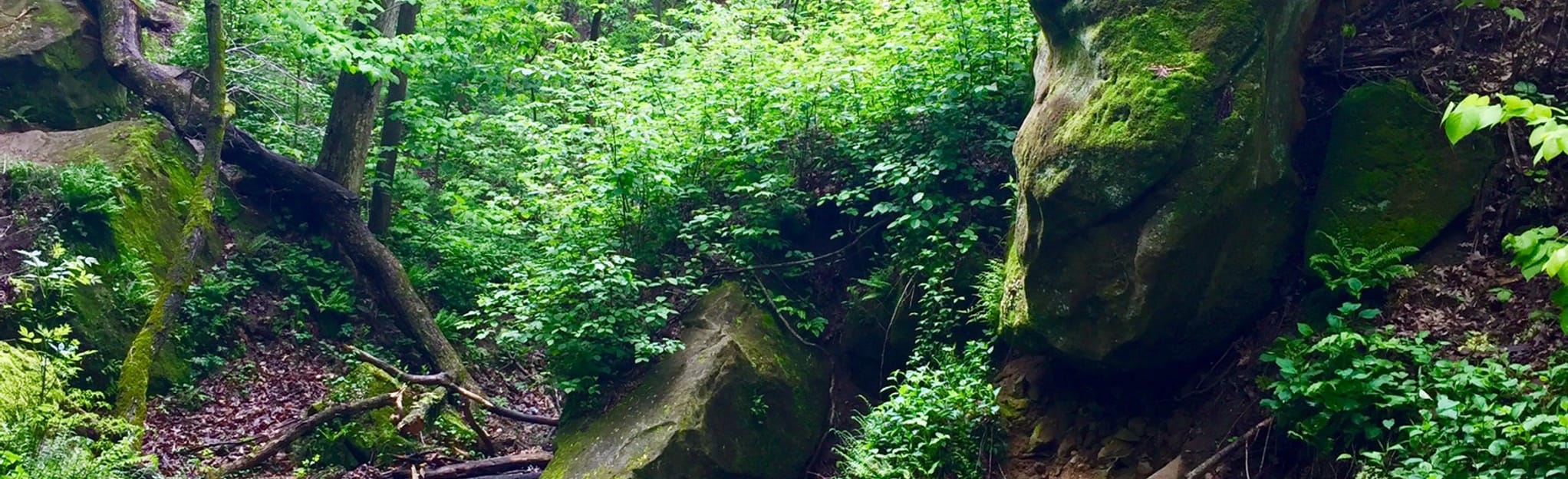 Chief Wapello Trail, Iowa - 50 Reviews, Map | AllTrails