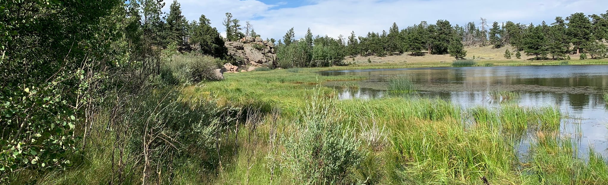 Molly Moon Trail to Molly Lake, Colorado - 126 Reviews, Map | AllTrails