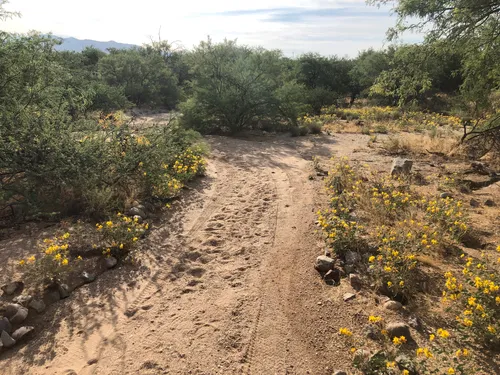 Best Hikes and Trails in Lincoln Regional Park | AllTrails