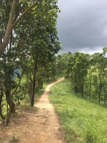 10 Best Hikes and Trails in Tai Lam Country Park | AllTrails