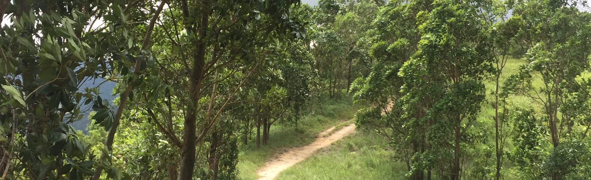 Tai Lam Chung Country Trail and Yuen Tun Country Trail, Yuen Long, Hong ...