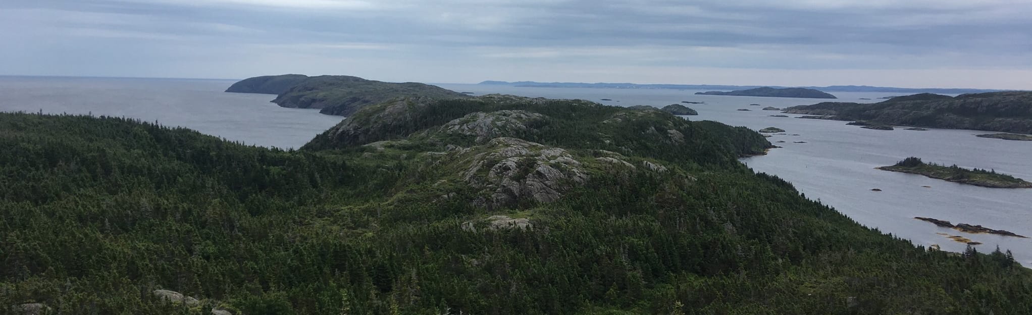 Pike's Arm Lookout Trail: 18 Reviews, Map - Newfoundland and Labrador ...