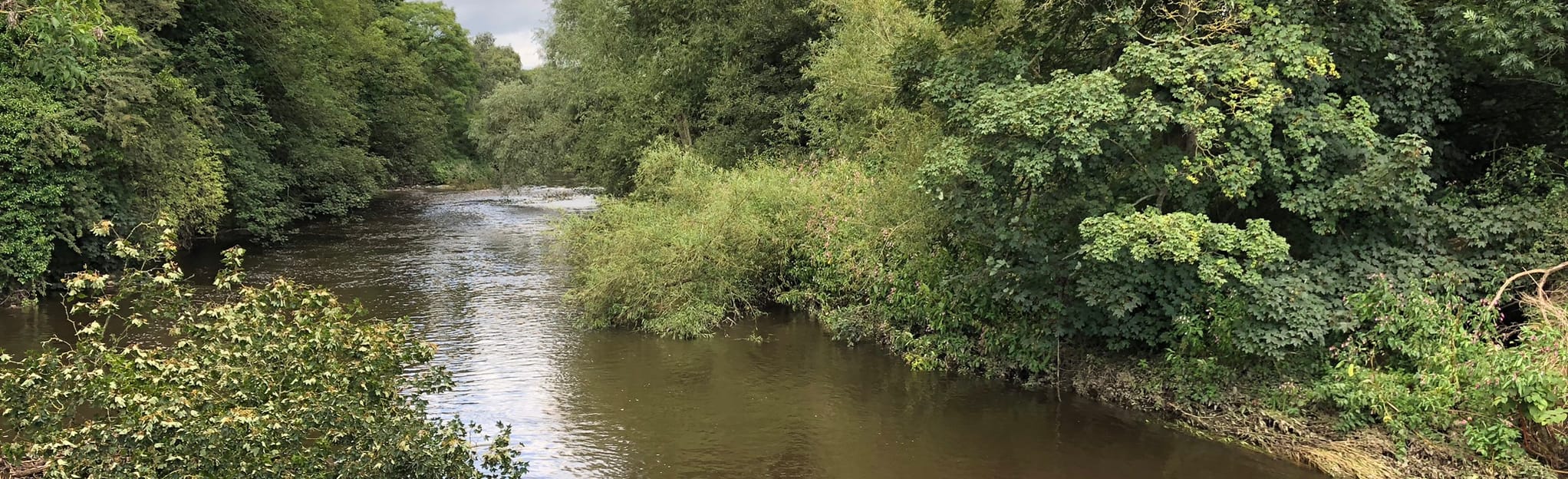 Esholt Circular, West Yorkshire, England - 236 Reviews, Map | AllTrails