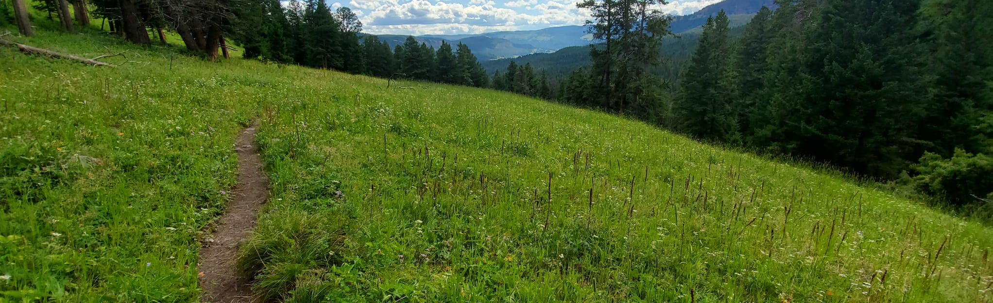 Pebble Creek Trail To Bliss Pass, Montana - 16 Reviews, Map | AllTrails