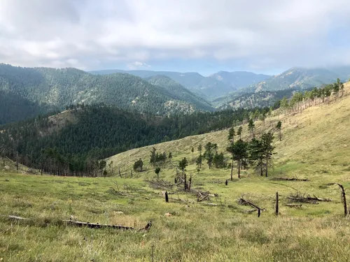 10 Best Trails and Hikes in Lyons | AllTrails