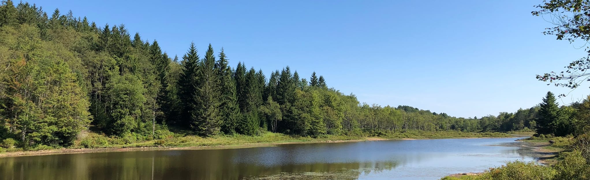 Dobbin House and Pase Point Trail Loop: 104 Reviews, Map - West ...