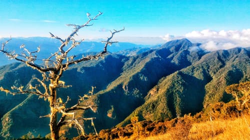 2023 Best 10 Trails and Hikes in Benguet | AllTrails