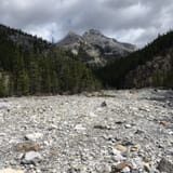 Cougar Creek Trail [CLOSED], Alberta, Canada - 125 Reviews, Map | AllTrails
