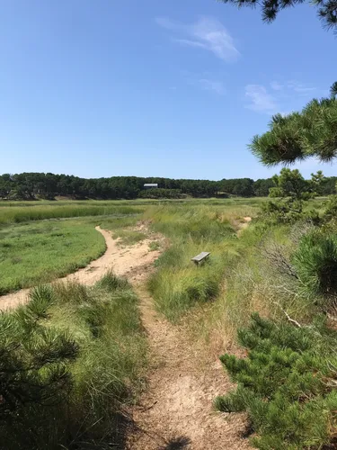 10 Best Trails and Hikes in Wellfleet | AllTrails