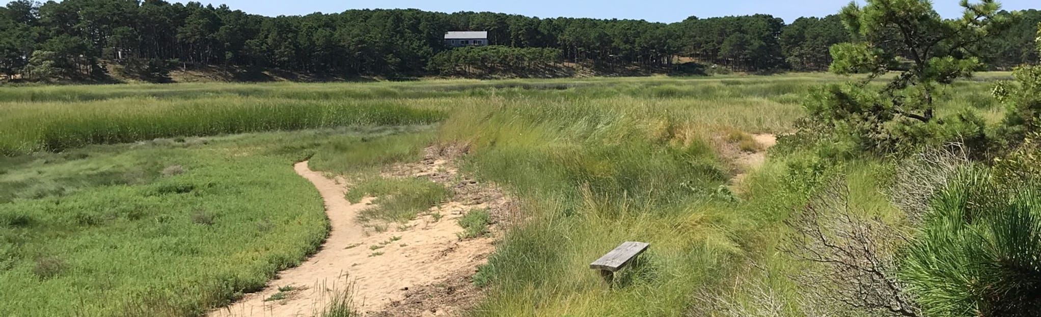 Pilgrim Springs Trail, Massachusetts - 103 Reviews, Map | AllTrails