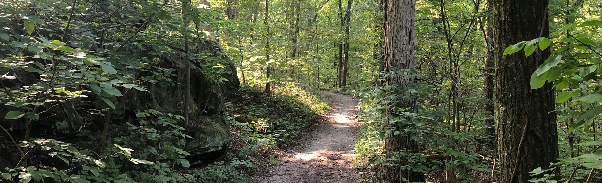 High Knob To Twin Towers Loop Trail, Illinois - 61 Reviews, Map | AllTrails