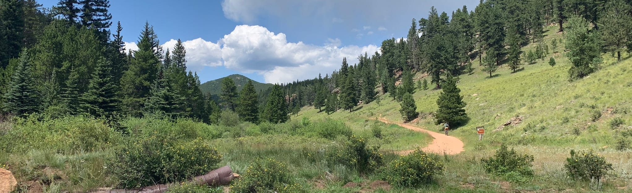 Old Mill and Bugling Elk Trail: 194 Reviews, Map - Colorado | AllTrails