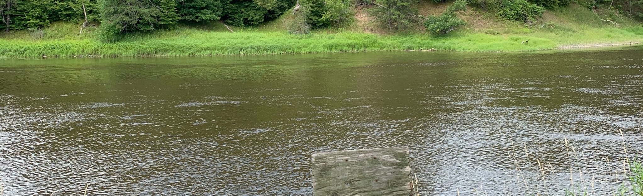 Crow Wing Confluence Trail: 128 Reviews, Map - Minnesota | AllTrails