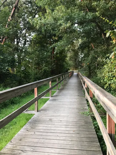 Best Hikes and Trails in Mercer Meadows | AllTrails