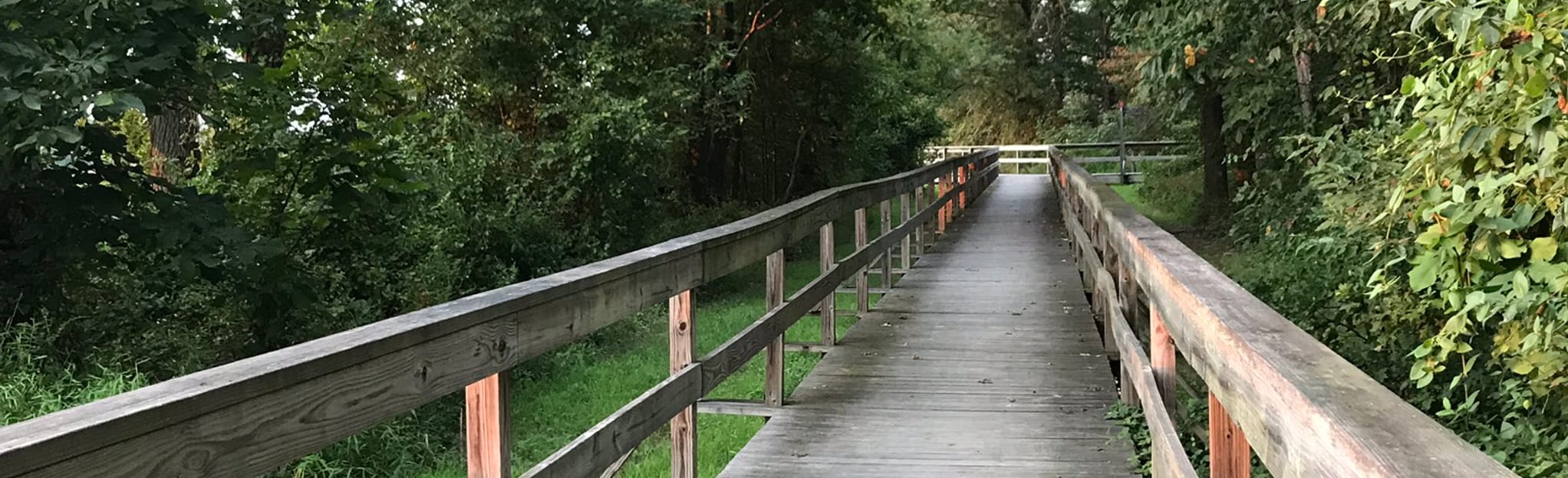 Village Park to Twin Pines Park: 44 Reviews, Map - New Jersey | AllTrails