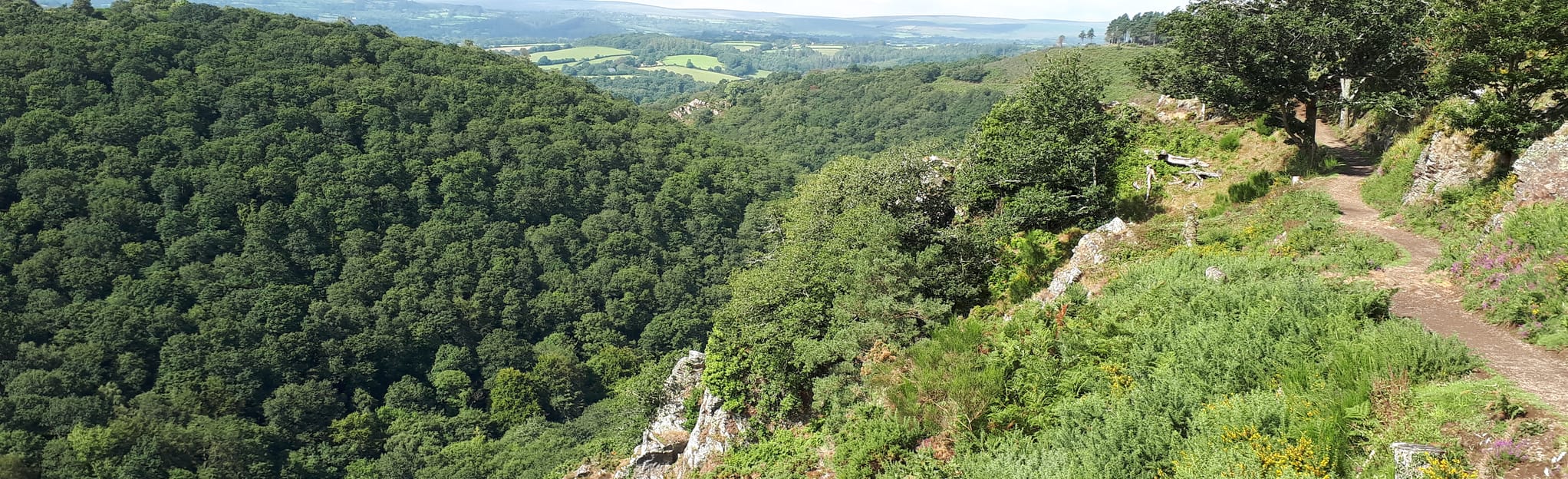 Hunter's and Fisherman's Path to Castle Drogo, Devon, England - 600 ...