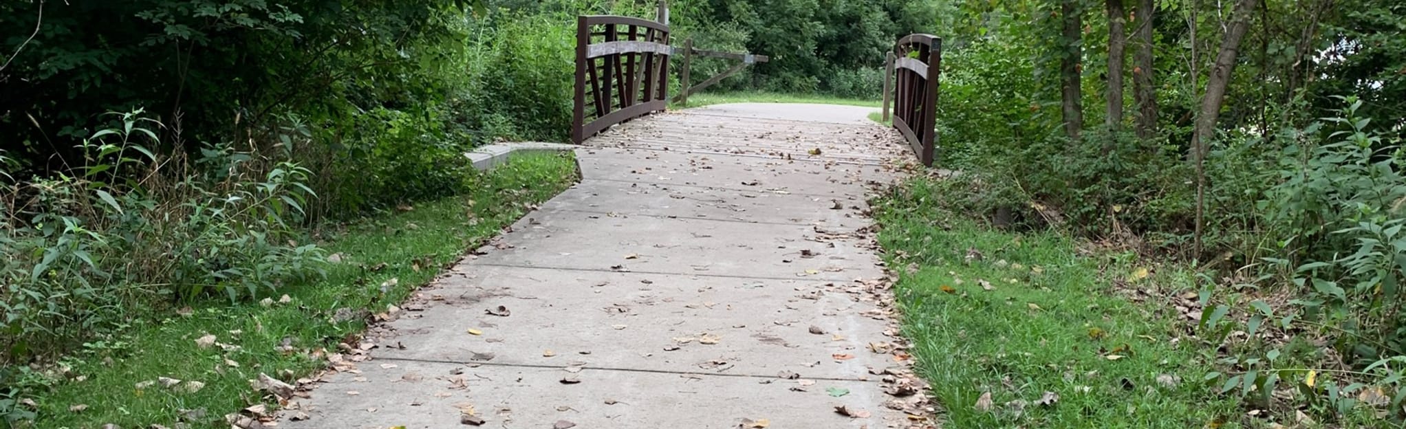 Amity Woods Nature Trail: 195 Reviews, Map - Missouri | AllTrails