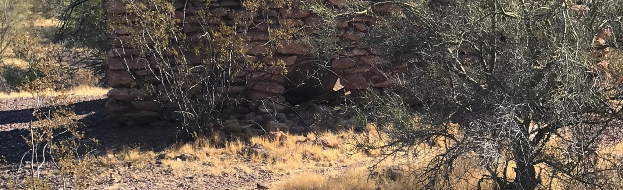 Vulture Mine Trail, Arizona - 172 Reviews, Map | AllTrails