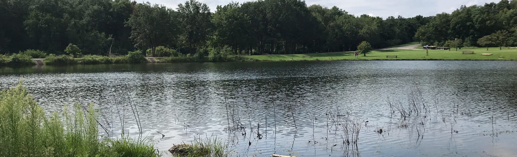 George Owens Nature Center Trail, Missouri - 74 Reviews, Map | AllTrails