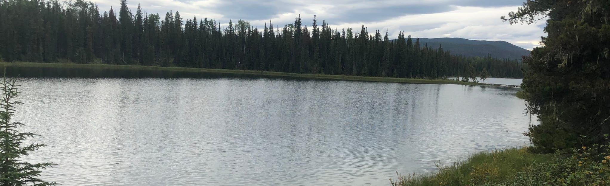 Kelly's Bathtub Loop Trail: 88 foto's - Alberta, Canada | AllTrails