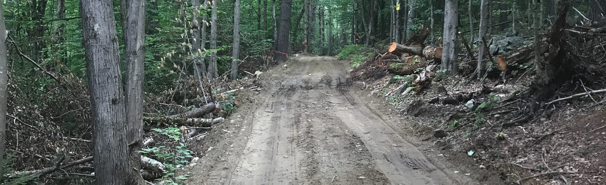 Wapack Trail to Kidder Mountain, New Hampshire - 48 Reviews, Map ...