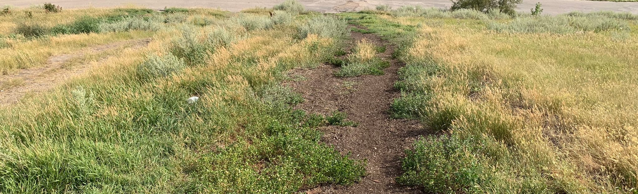 Garbage Hill, Manitoba, Canada - 217 Reviews, Map | AllTrails