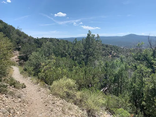 10 Best Hikes and Trails in Sandia Mountain Wilderness | AllTrails