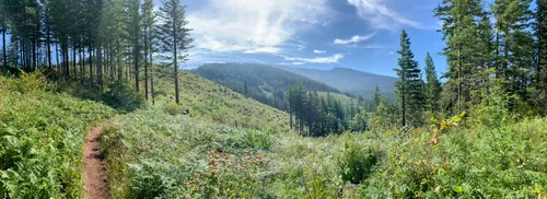 Best Waterfall Trails in Yacolt Burn State Forest | AllTrails