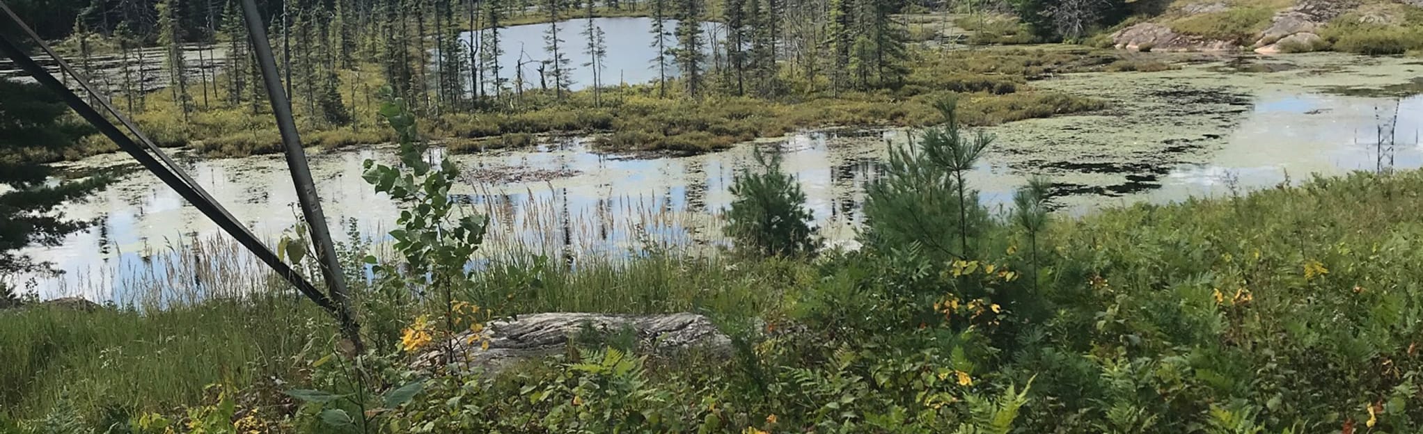 Bear Lake Trail, Ontario, Canada - 6 Reviews, Map | AllTrails