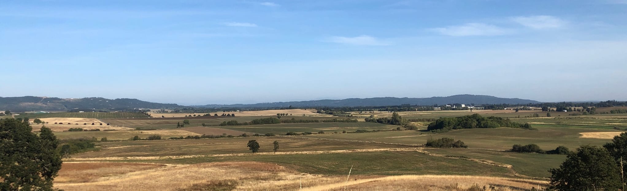 Baskett Bluff Loop: 320 Reviews, Map - Oregon | AllTrails