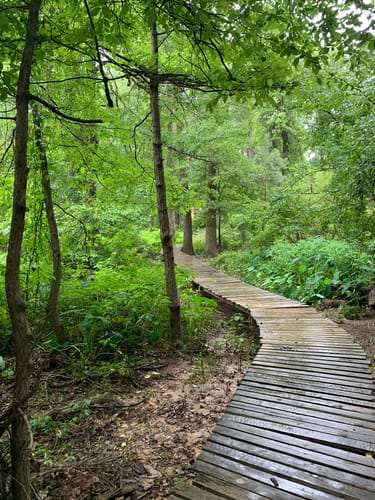 Best Hikes and Trails in Bringle Lake Wilderness Area | AllTrails