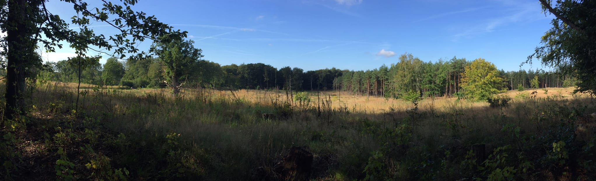 Genarp - Häckebergasjön: 11 Reviews, Map - Skåne, Sweden | AllTrails