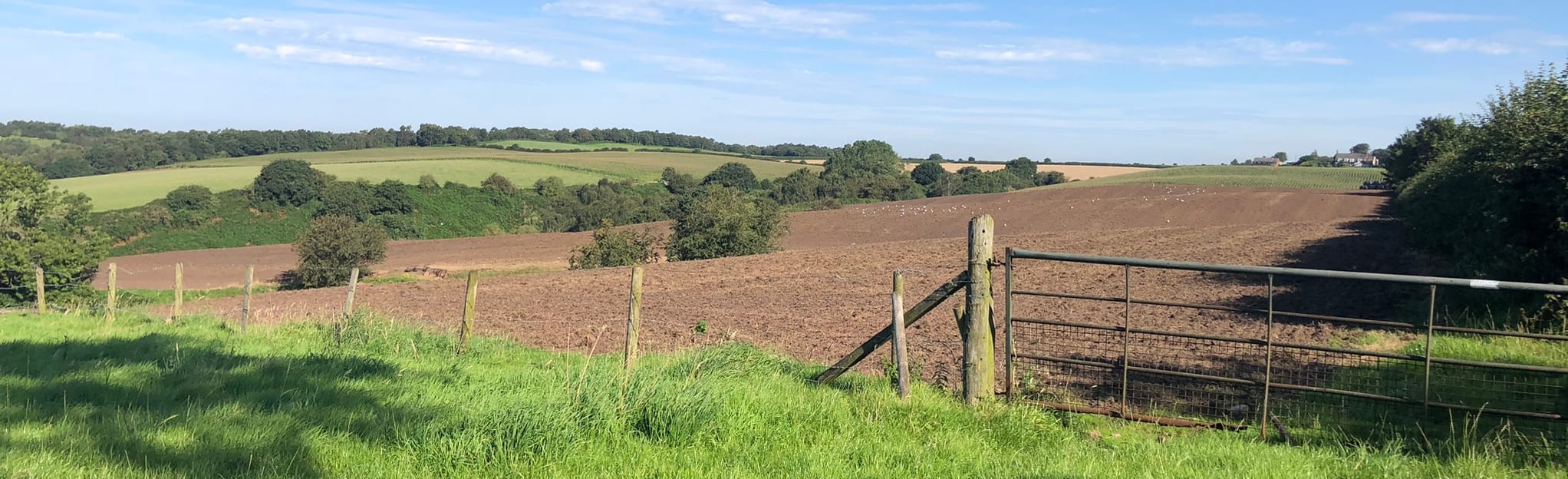 Frodsham and Sandstone Trail Circular, Cheshire, England - 451 Reviews ...