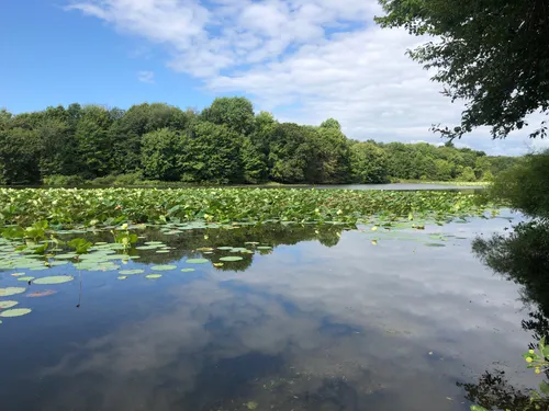 Best Hikes and Trails in Pymatuning State Park | AllTrails