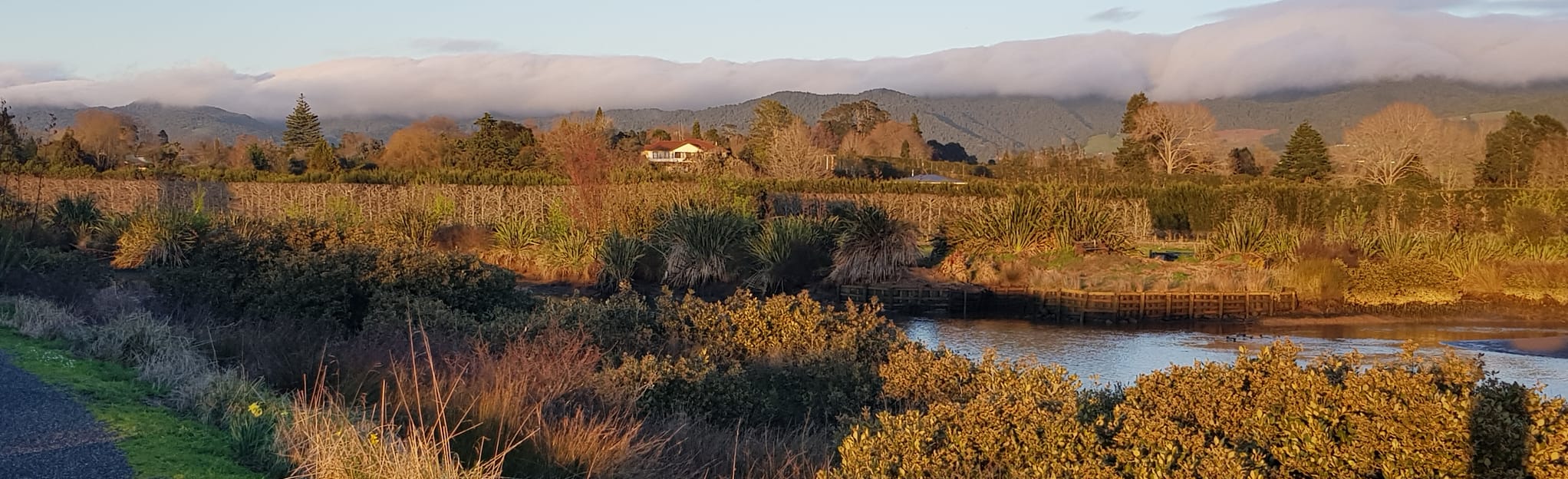 Katikati Bird Walk: 9 Reviews, Map - Bay of Plenty, New Zealand | AllTrails