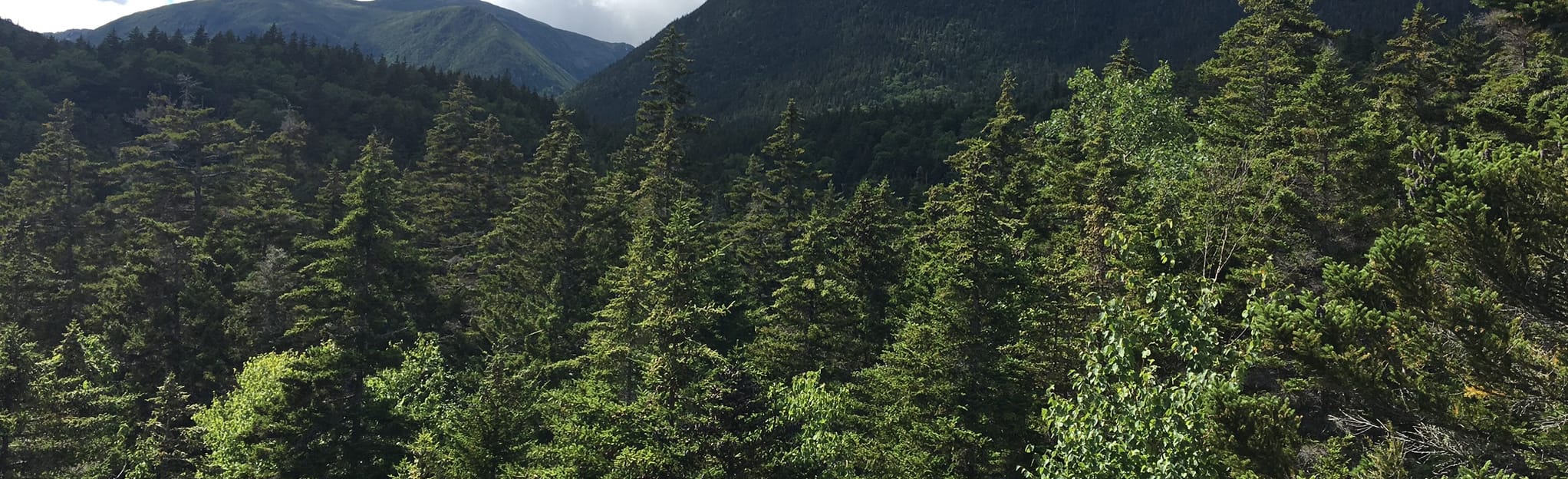 The Northern Presidentials via Appalachian Trail: 31 Reviews, Map - New ...