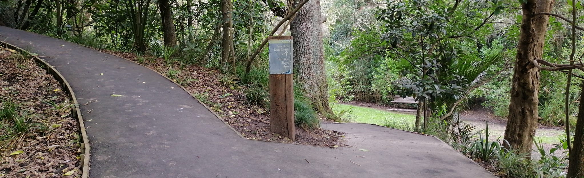 Dingle Dell Inner Loop: 24 foto - Auckland, Nuova Zelanda | AllTrails