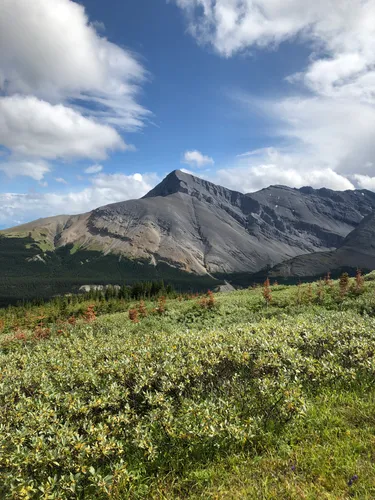 Best Hikes and Trails in Cardinal Divide Natural Area | AllTrails