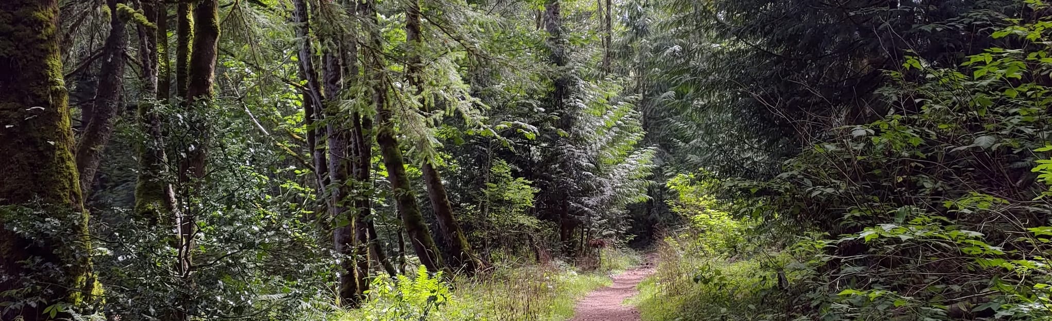 AllTrails | Bear Ridge Trail: 97 Reviews, Map - Washington