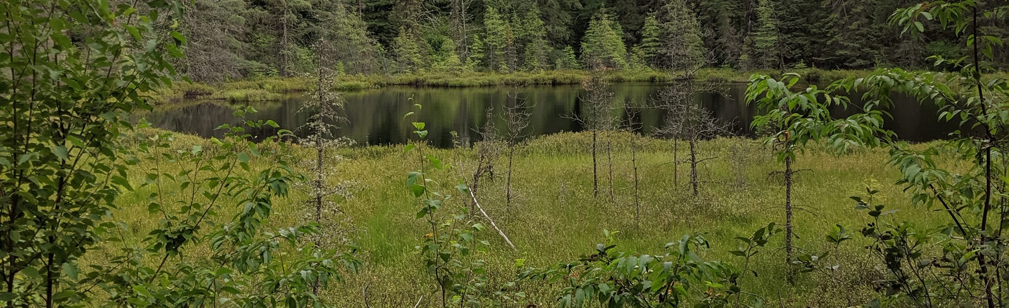 Pine Lake Loop, Ontario, Canada - 18 Reviews, Map | AllTrails