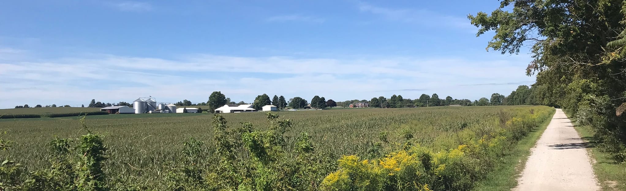 Sippo Valley Trail, Ohio - 171 Reviews, Map | AllTrails