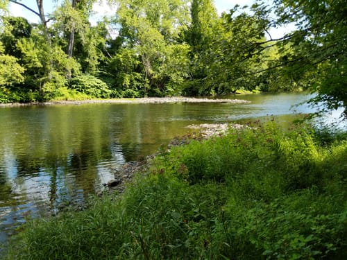 Best Hikes and Trails in Robinson State Park | AllTrails