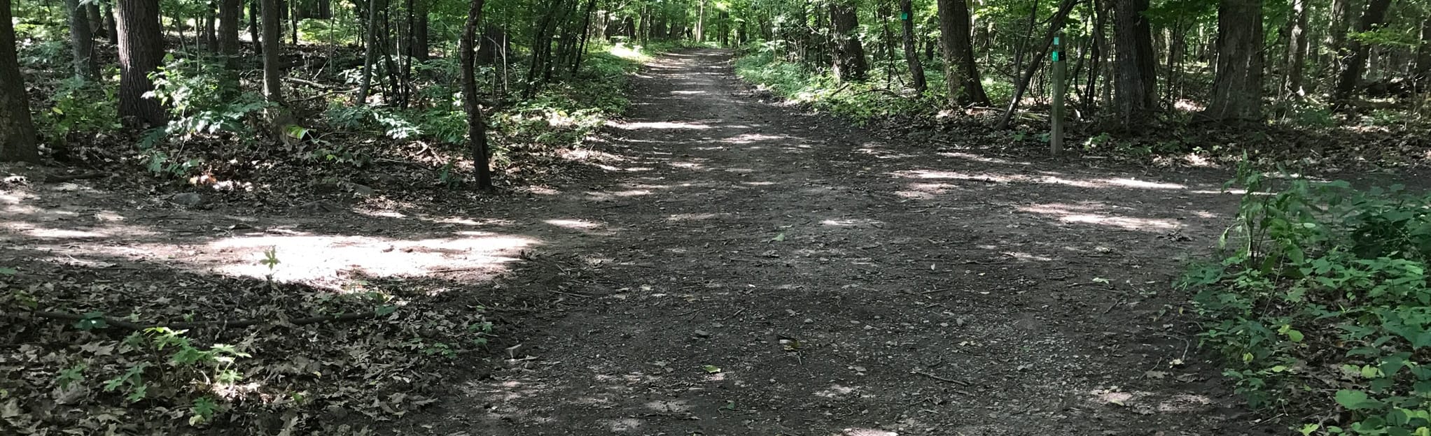 Old Burrell Road, Bluebird, White Tail and Maple Hill Trail Loop | Map ...