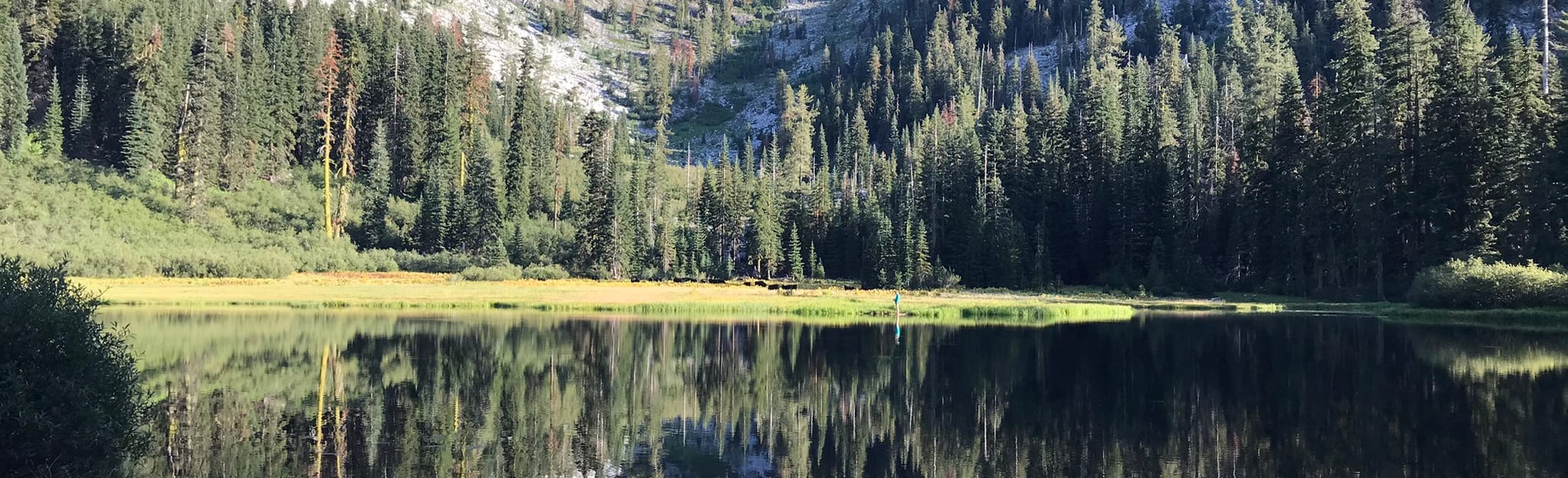 Fish Lake Trail: 10 Reviews, Map - California | AllTrails
