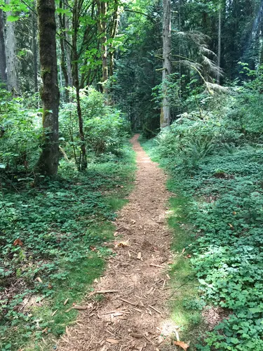 Best Hikes and Trails in Redmond Watershed Preserve | AllTrails