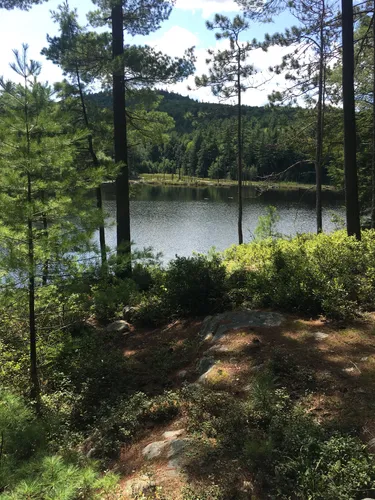Best Hikes and Trails in Pole Hill Pond | AllTrails